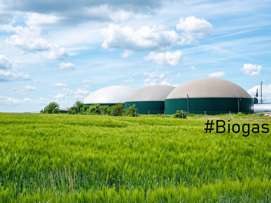 Denmark on track to 2023 goals with biogas more than enough to supply ...