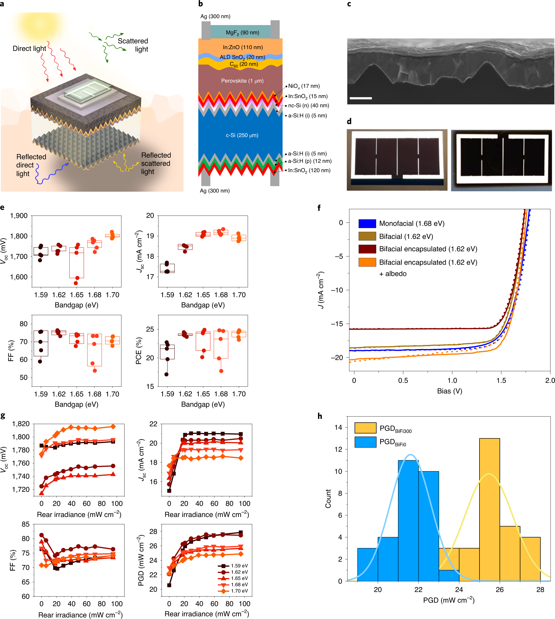 Researchers find further efficiencies for solar cells – Boˆreal